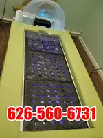Massage Spas and Independent Female Masseuses in Albuquerque, New ...