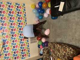 TS Escorts in Milwaukee, Wisconsin - Skip the Games