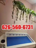 Massage Spas and Independent Female Masseuses in Albuquerque, New ...